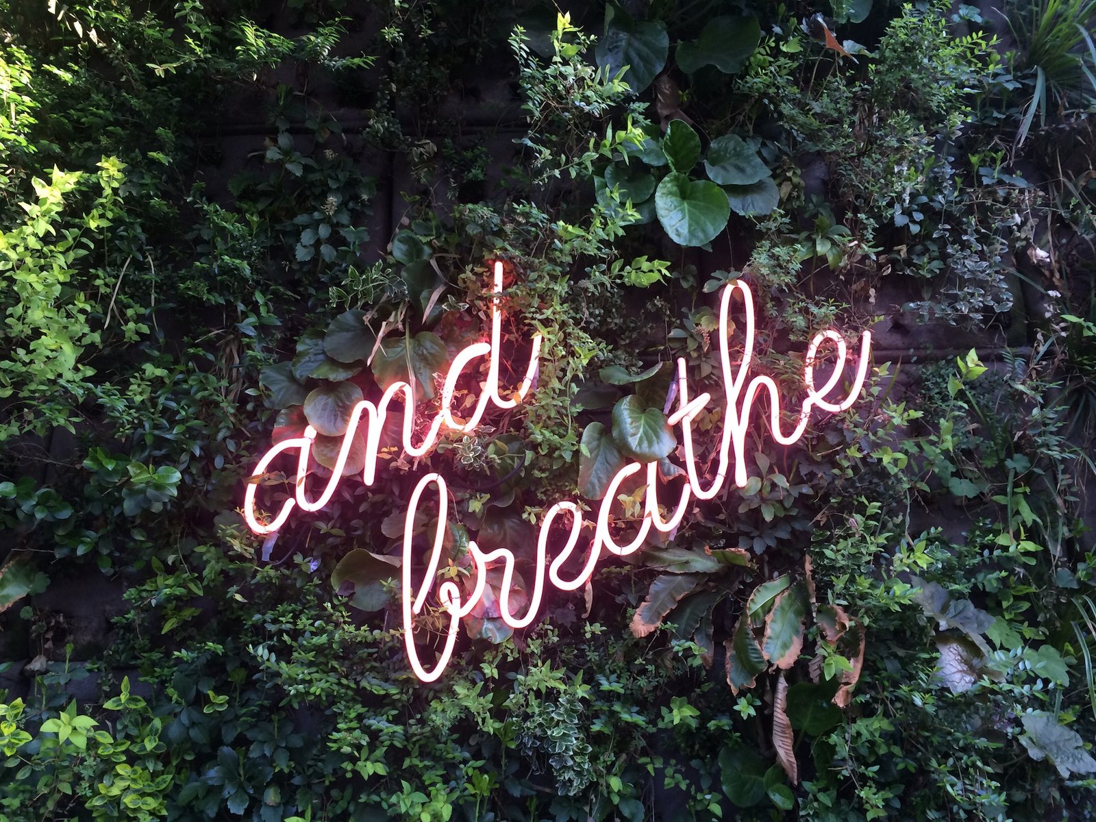 6 Benefits of Breathwork for a Healthy Lifestyle — The Design Tourist