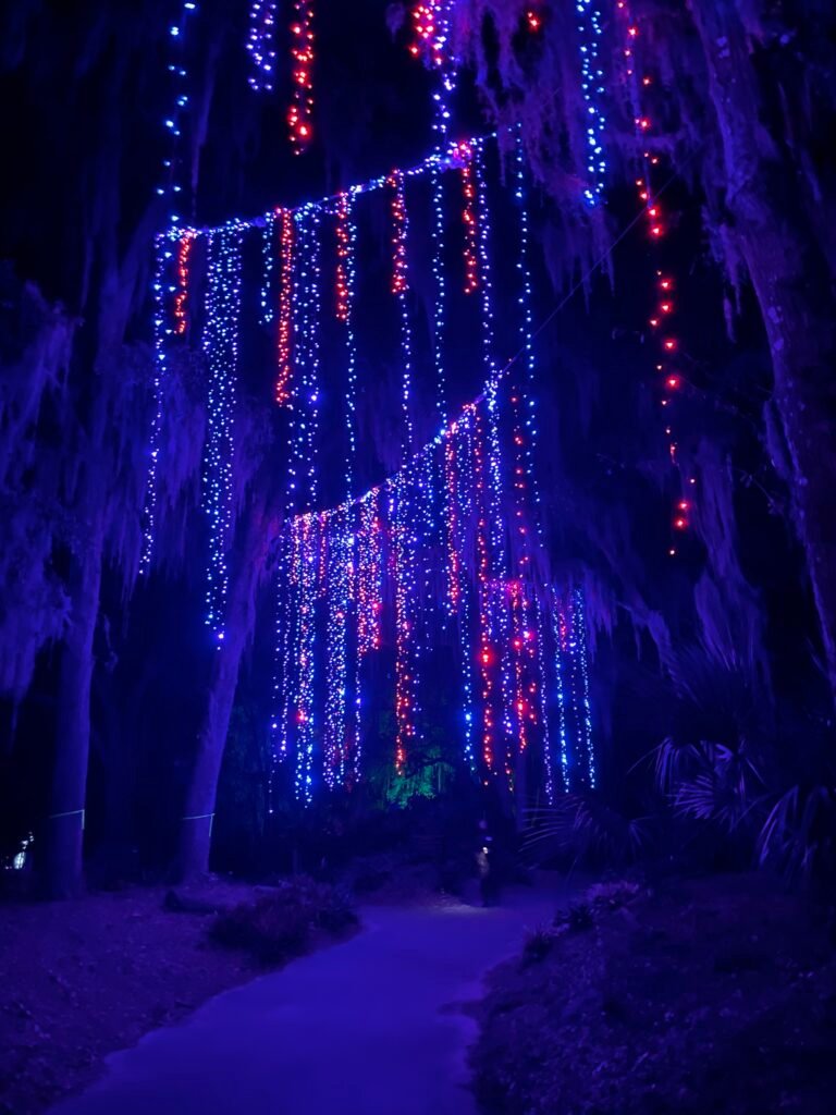 Top 5 Central Florida Christmas Events You Can't Miss!