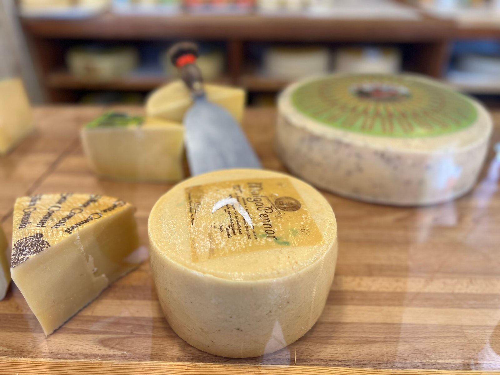 Exploring Asiago Italy: Birthplace of World-Famous Cheese