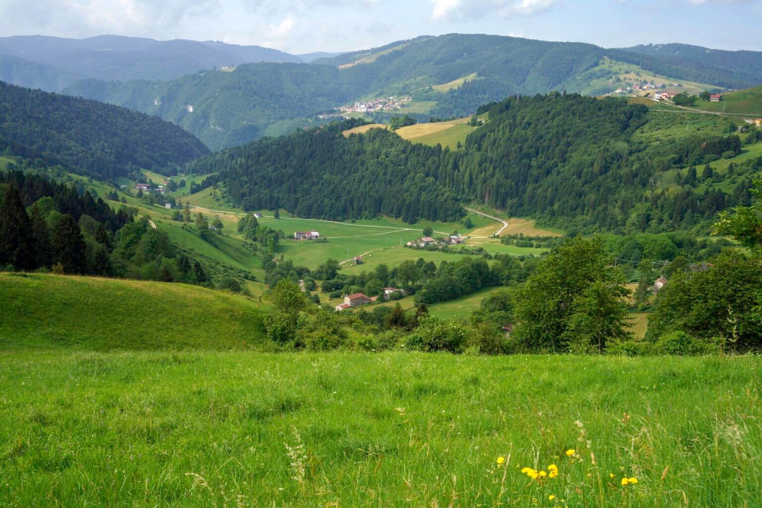Exploring Asiago Italy: Birthplace of World-Famous Cheese