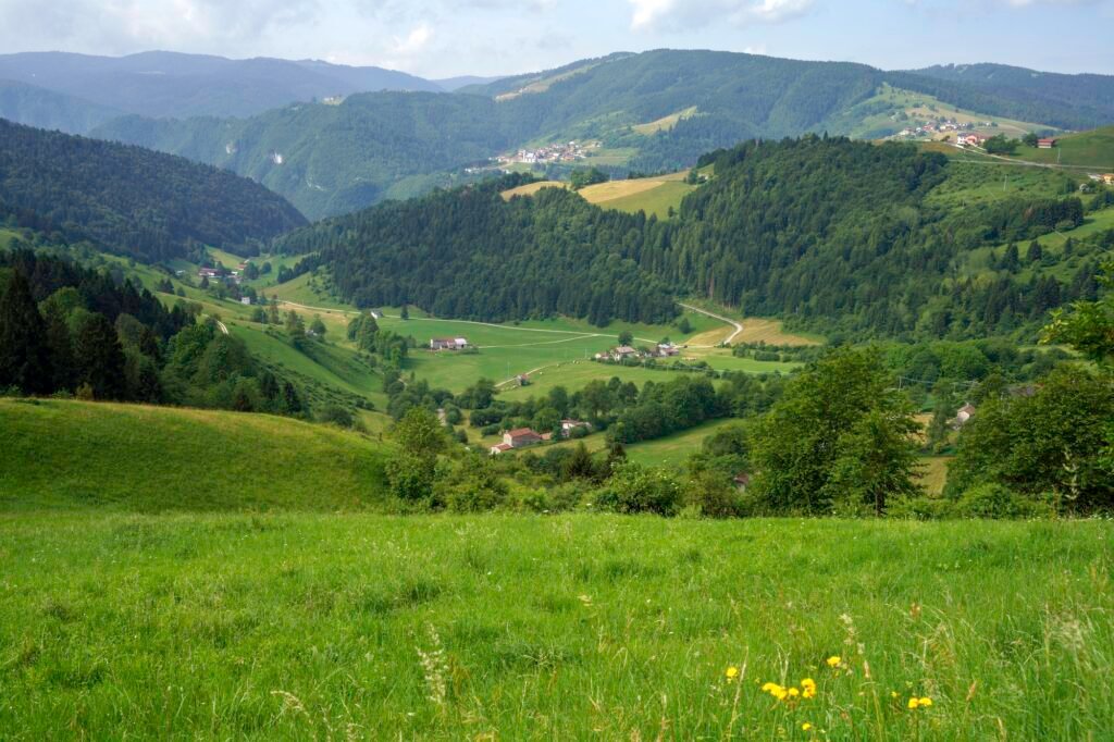 Exploring Asiago Italy: Birthplace of World-Famous Cheese