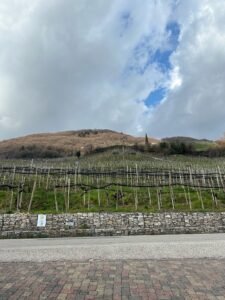 Exploring Prosecco Road, Italy's Sparkling Wine Country