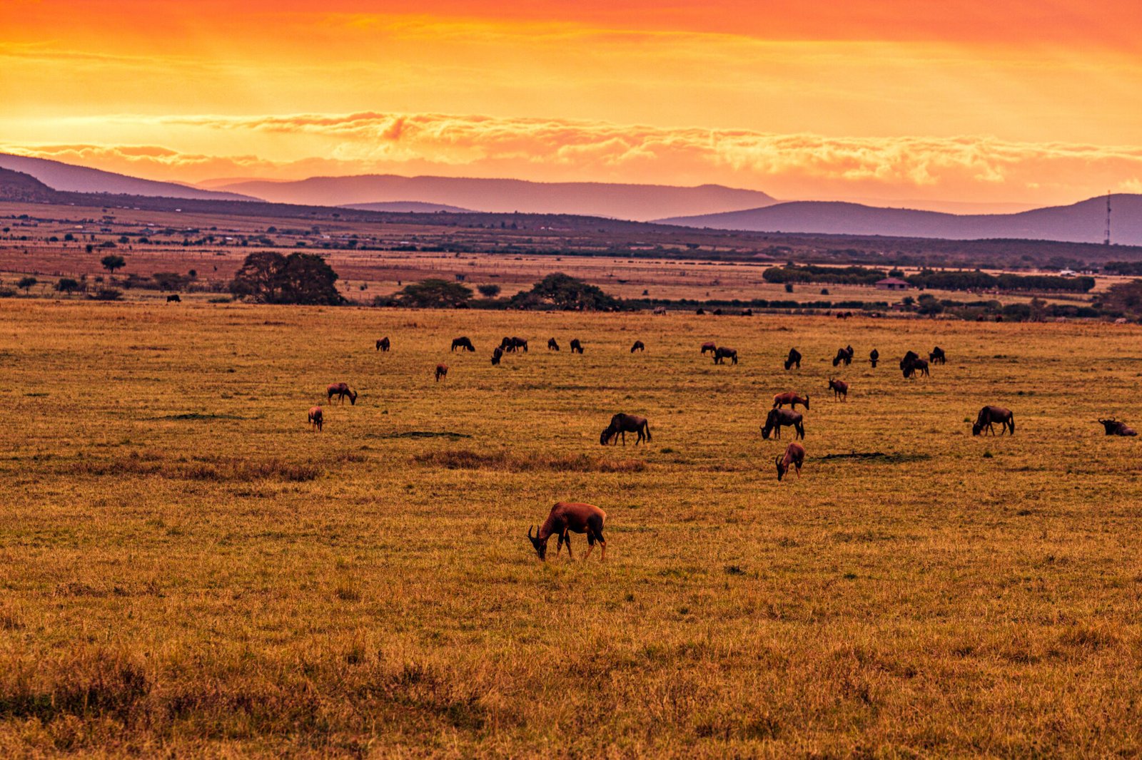 Discovering Kenya