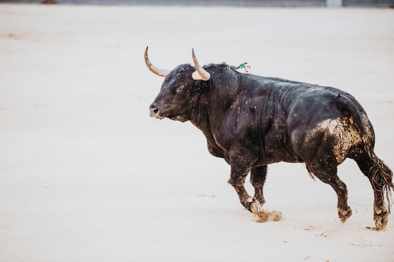 What Makes a Luxury Running of the Bulls Travel Package Worth It?